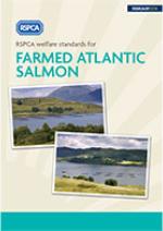 Farmed salmon | rspca.org.uk