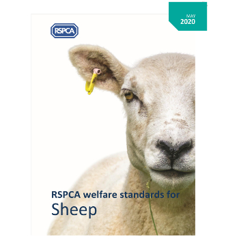 RSPCA welfare standards for sheep - RSPCA