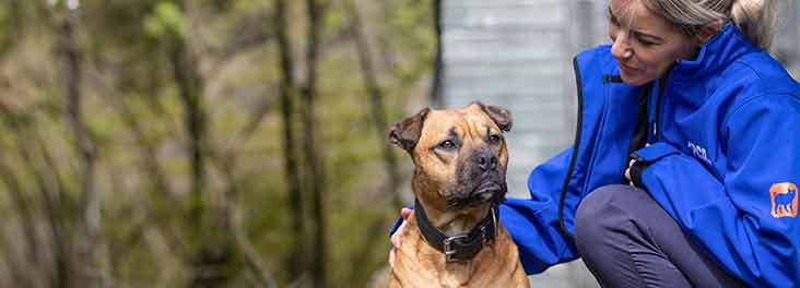 Bury Oldham & District Branch - Home - rspca.org.uk - RSPCA
