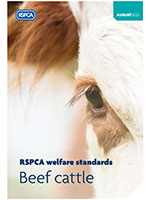 RSPCA welfare standards for beef cattle - RSPCA