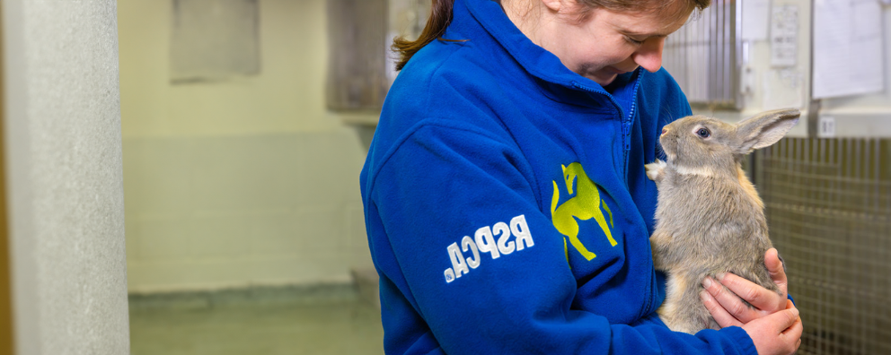 Science Home - Science - rspca.org.uk