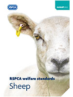 RSPCA welfare standards for sheep - RSPCA